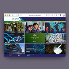 Halcyon: Supply Chain Brands - Tangible: Brand Consultants Singapore